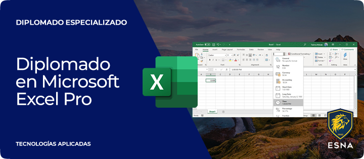 Diplomado en Microsoft Excel Pro - ESNA - Escuela Superior de Negocios ...